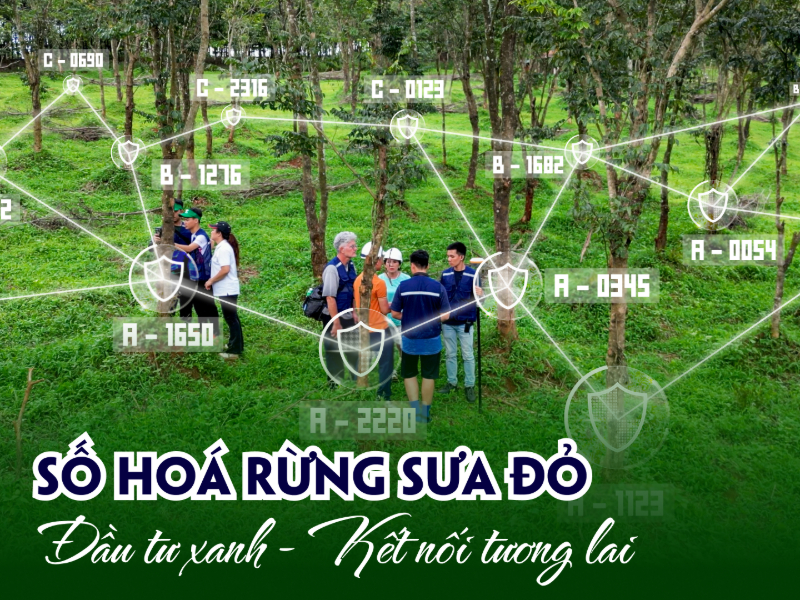 Nền Tảng Tài Sản Số | MetaDAP